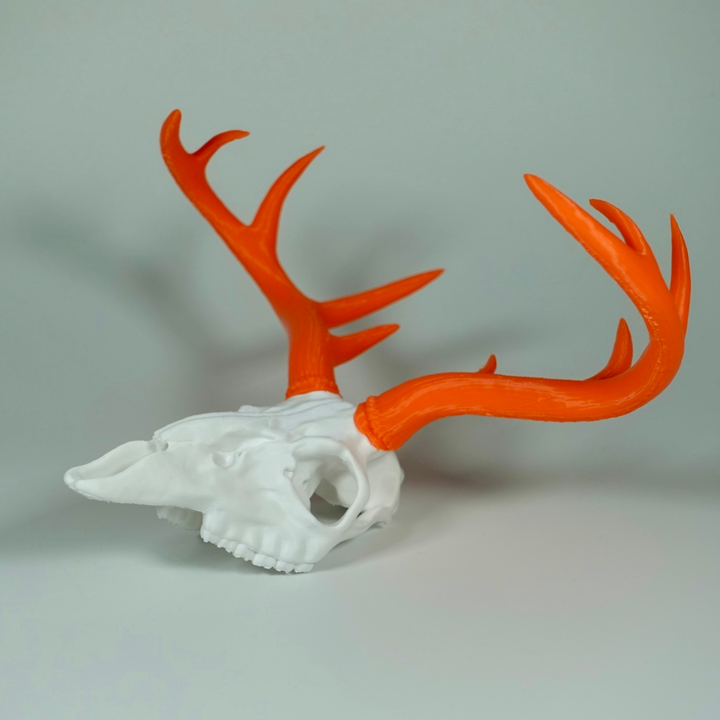 3D Printable Deer Skull by MysticMesh3D