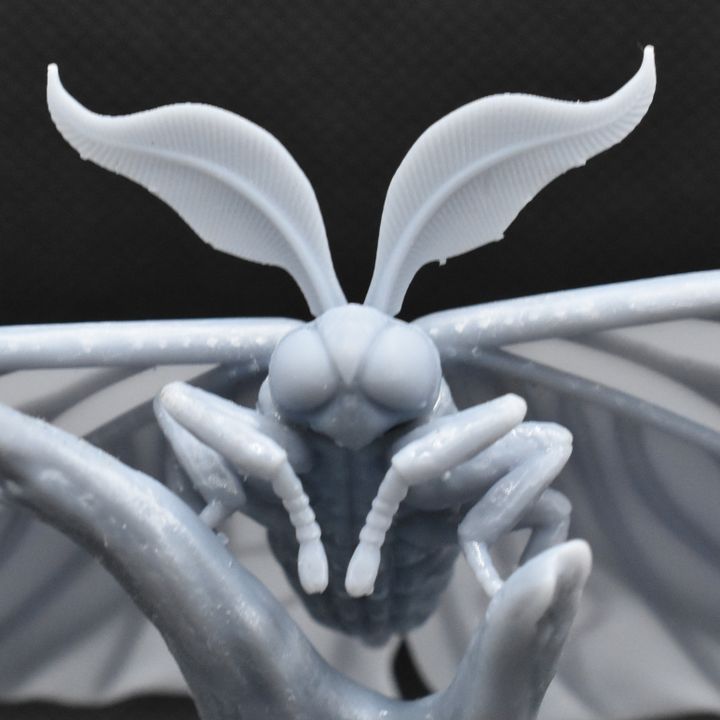 3D Printable Luna Moth by Diamond Force
