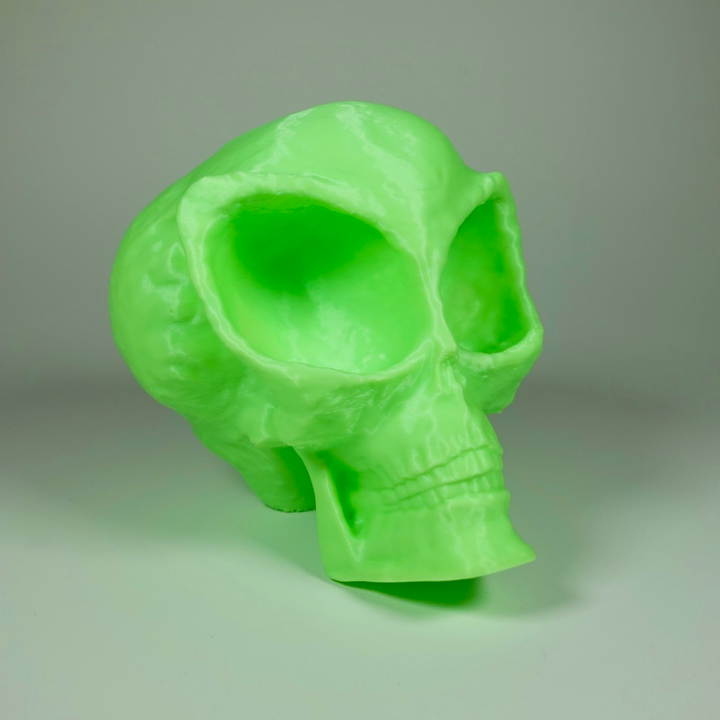 3D Printable Alien Skull by MysticMesh3D