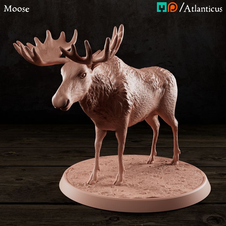 3D Printable Moose - Standing by Atlanticus Arts