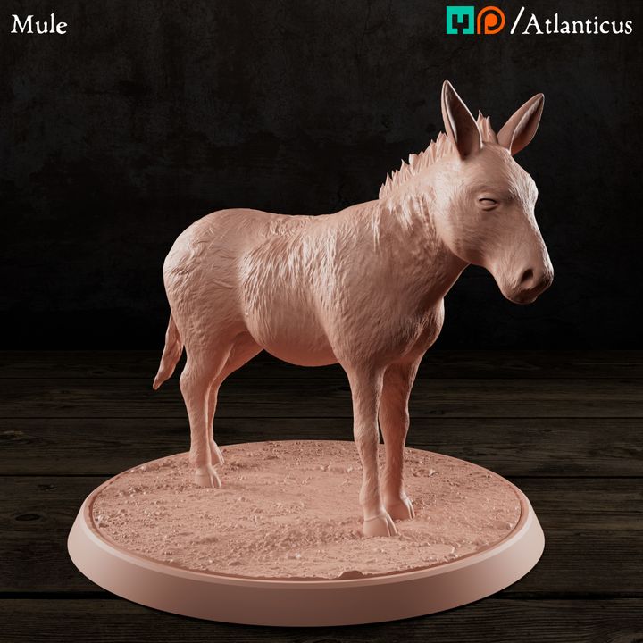 3D Printable Mule - Standing by Atlanticus Arts
