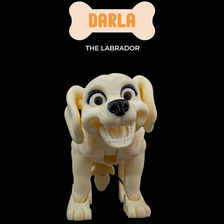 3D Printable Darla, the Labrador by Stlflix