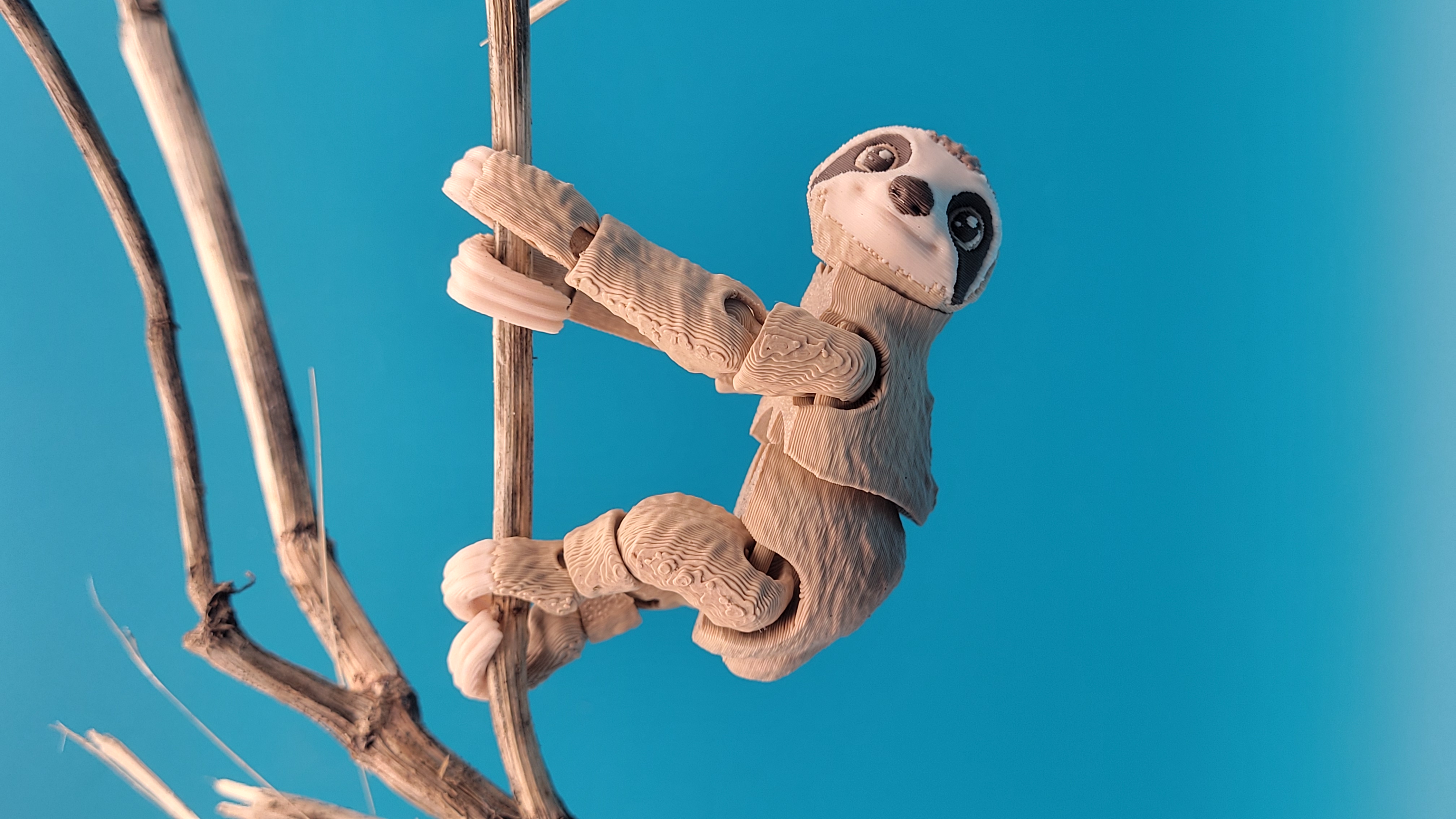 3D Printable Sloth plus Tree display, Articulated fidget figure, 3mf ...