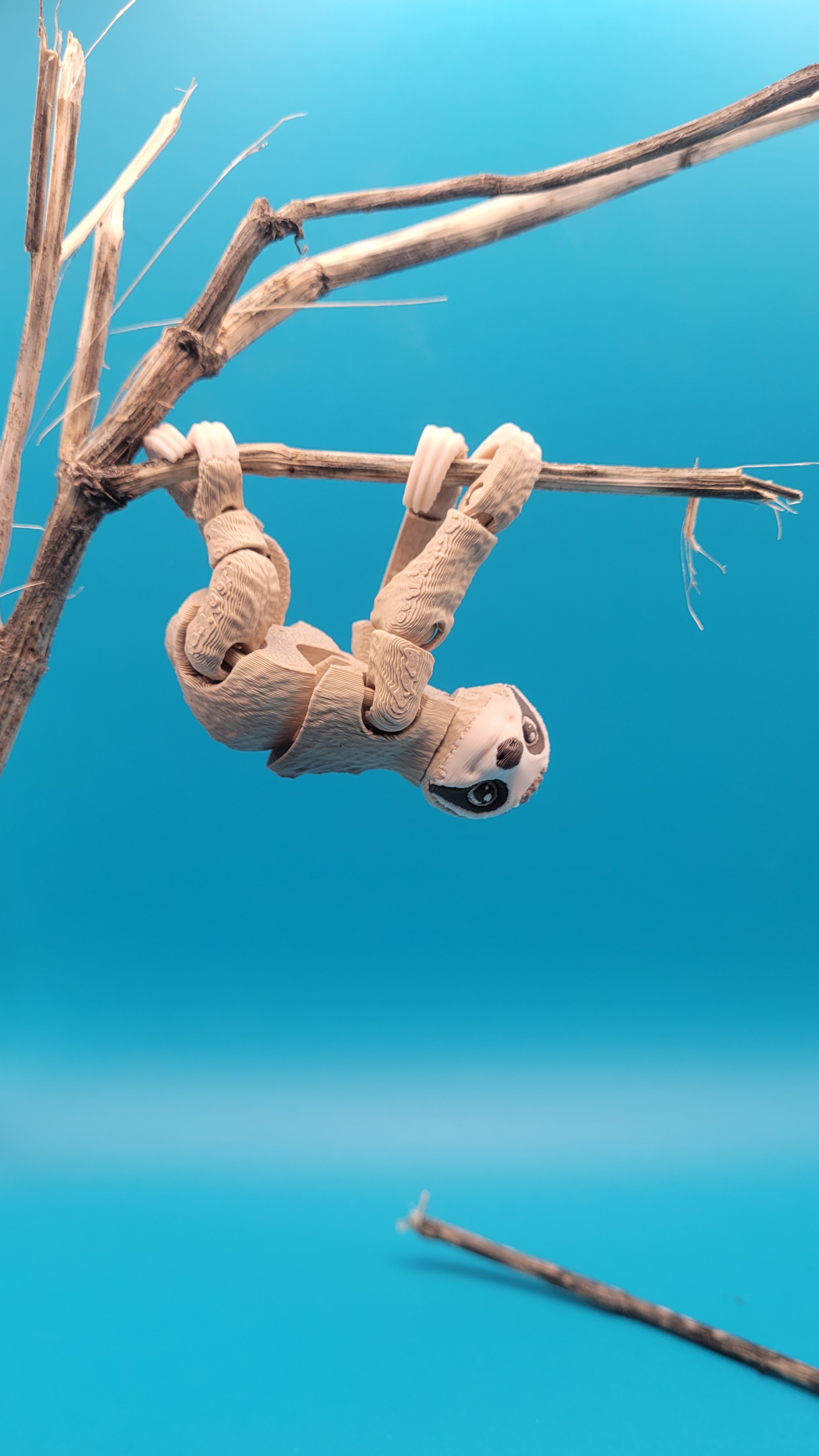 3D Printable Sloth plus Tree display, Articulated fidget figure, 3mf ...