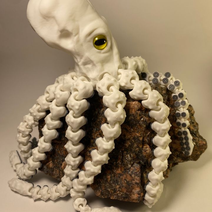 Download FLEXI ARTICULATED Octopus 3D MODEL WITH MOVING SEGMENTS von ...
