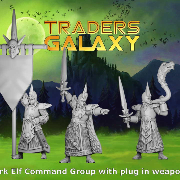 3D Printable Dark Elf Command Group by Traders Galaxy Miniatures and Games