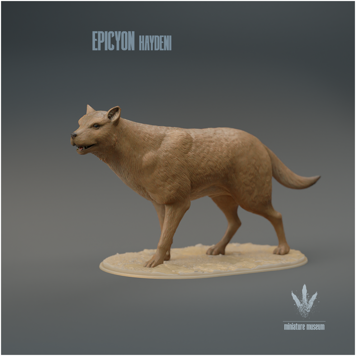 3D Printable Epicyon haydeni : More than a Dog by Miniature Museum