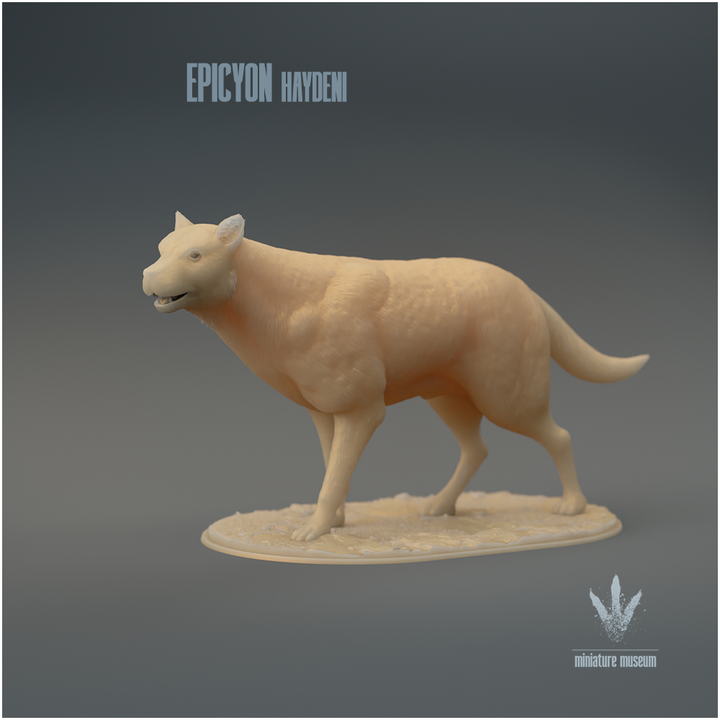 3D Printable Epicyon haydeni : More than a Dog by Miniature Museum