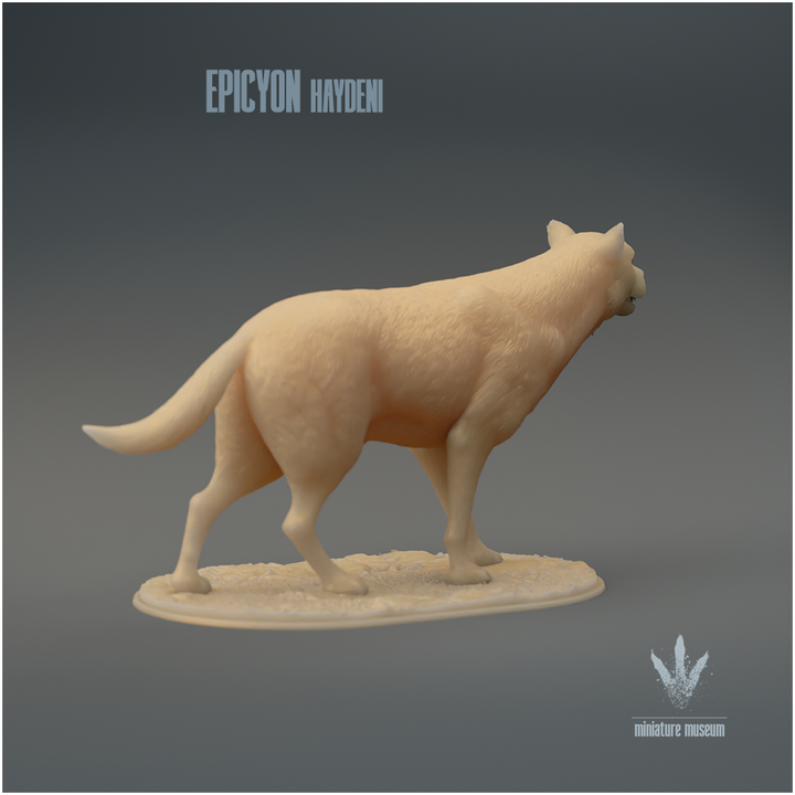 3D Printable Epicyon haydeni : More than a Dog by Miniature Museum