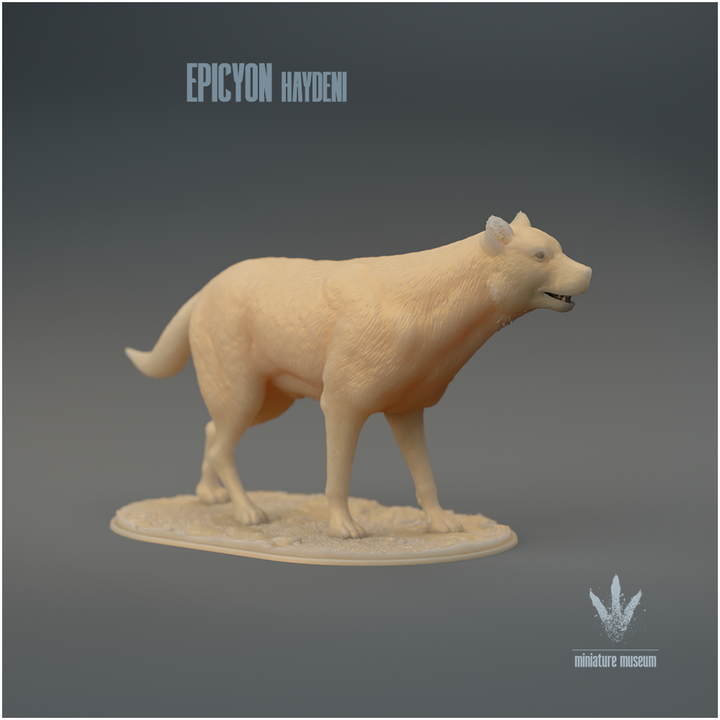 3D Printable Epicyon haydeni : More than a Dog by Miniature Museum