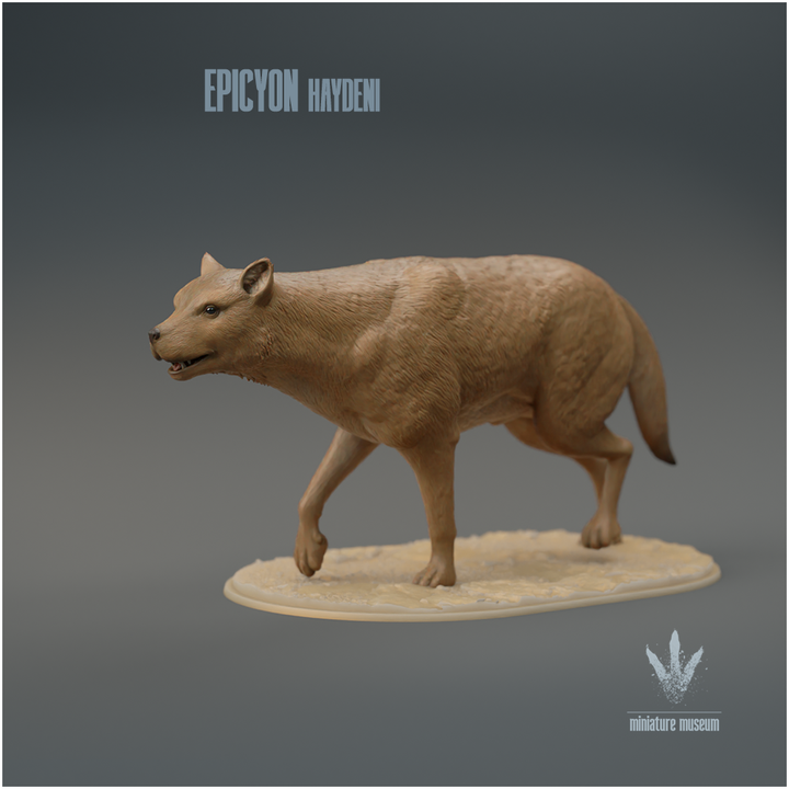 3D Printable Epicyon haydeni : Prowling by Miniature Museum