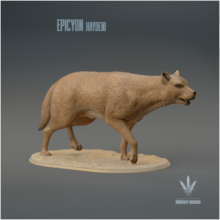 3D Printable Epicyon haydeni : Prowling by Miniature Museum