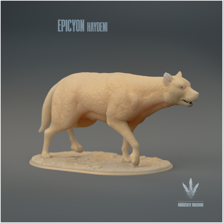 3D Printable Epicyon haydeni : Prowling by Miniature Museum