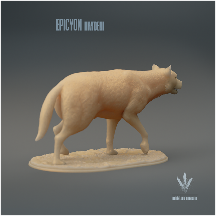 3D Printable Epicyon haydeni : Prowling by Miniature Museum