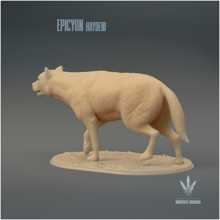 3D Printable Epicyon haydeni : Prowling by Miniature Museum