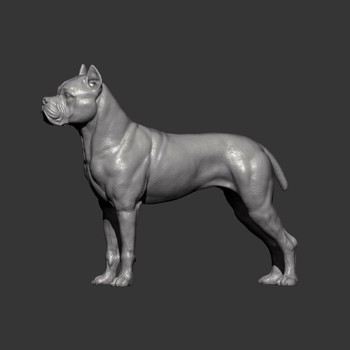 3D Printable Cane Corso by Alexander3dart