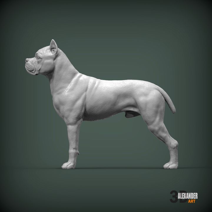3D Printable Cane Corso by Alexander3dart