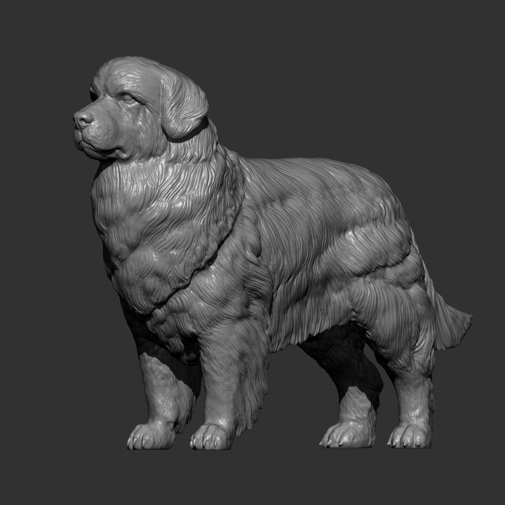 3D Printable Newfoundlands by Alexander3dart