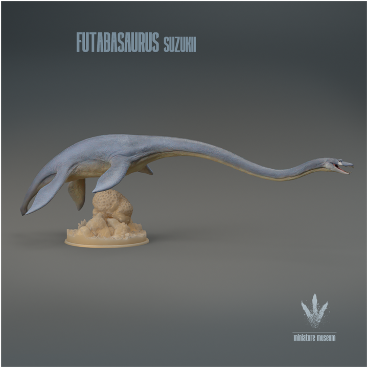 3D Printable Futabasaurus suzukii : The Japanese Plesiosaur by ...