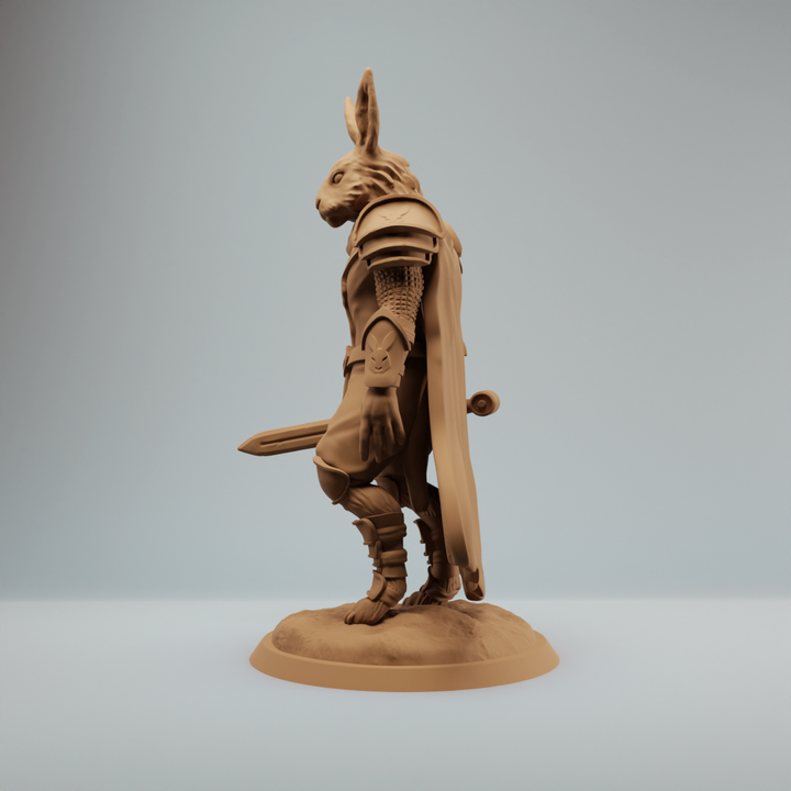 3D Printable Harengon Rabbit Folk Knight or Paladin with sword - Pre ...