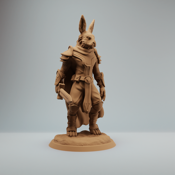 3D Printable Harengon Rabbit Folk Knight or Paladin with sword - Pre ...