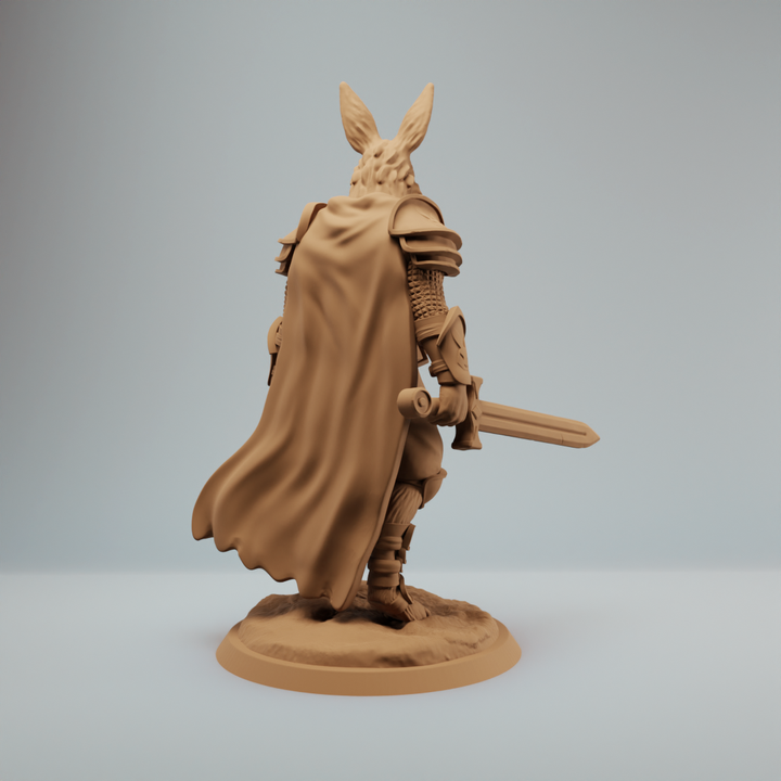 3D Printable Harengon Rabbit Folk Knight or Paladin with sword - Pre ...