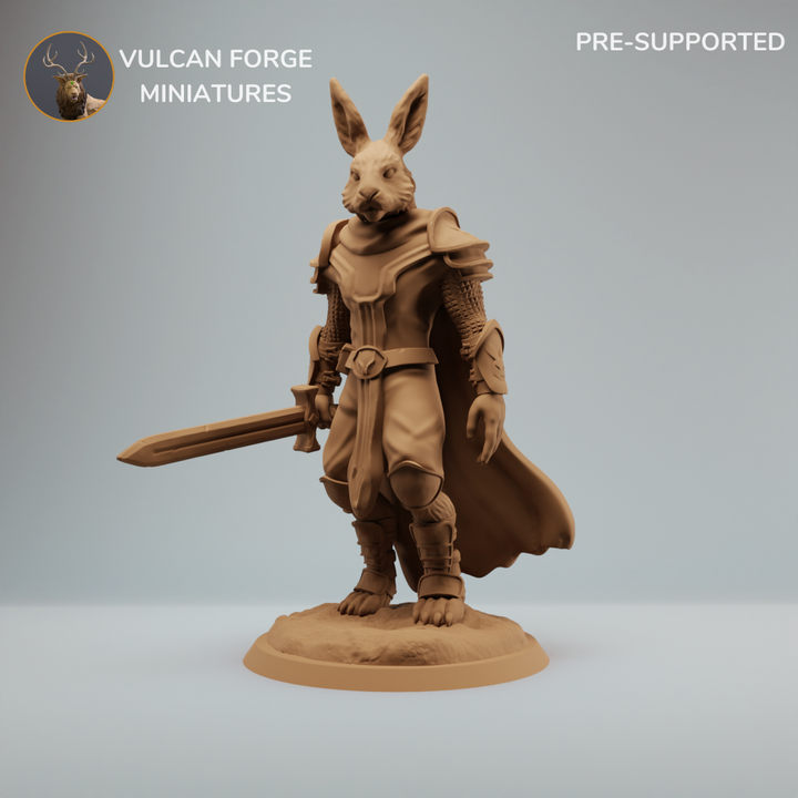 3D Printable Harengon Rabbit Folk Knight or Paladin with sword - Pre ...