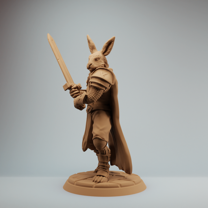 3D Printable Harengon Rabbit Folk Knight or Paladin with sword - Pre ...