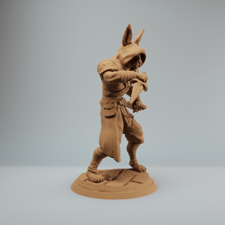 3D Printable Harengon Rabbit Folk Rogue Assassin - Pre supported by ...