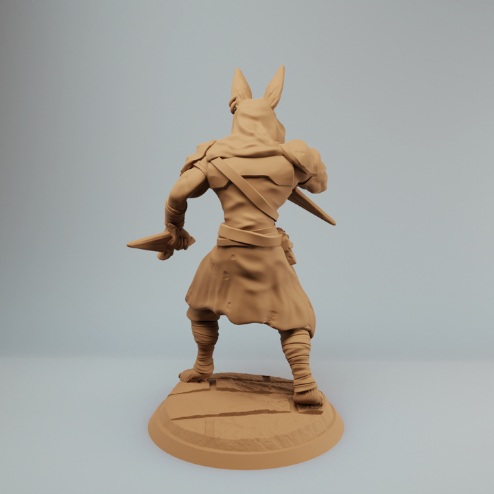 3D Printable Harengon Rabbit Folk Rogue Assassin - Pre supported by ...