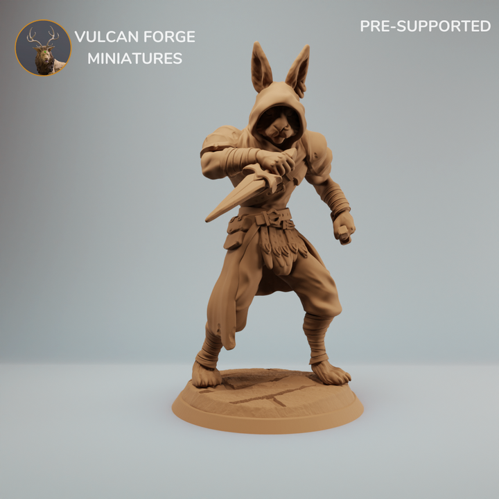 3D Printable Harengon Rabbit Folk Rogue Assassin - Pre supported by ...