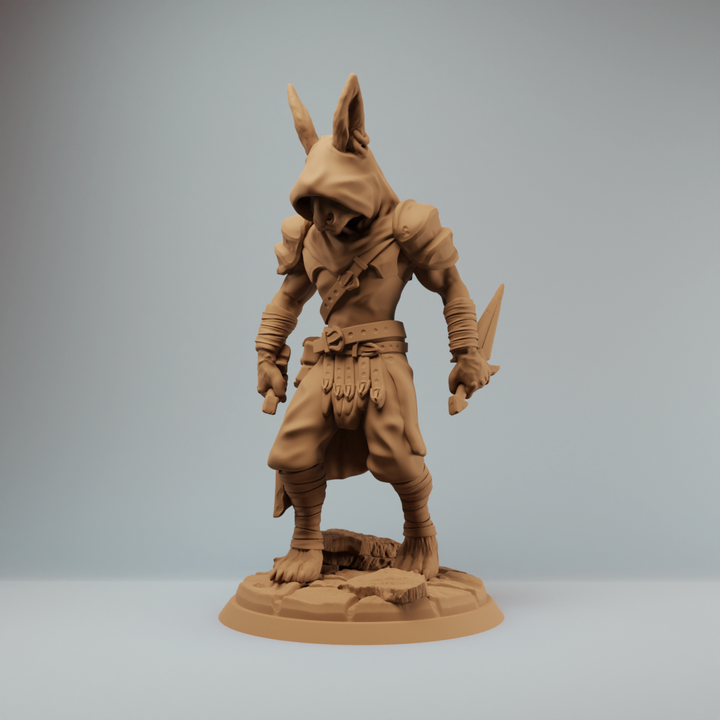 3D Printable Harengon Rogue, Harengon Rabbit Folk Rogue Assassin ...