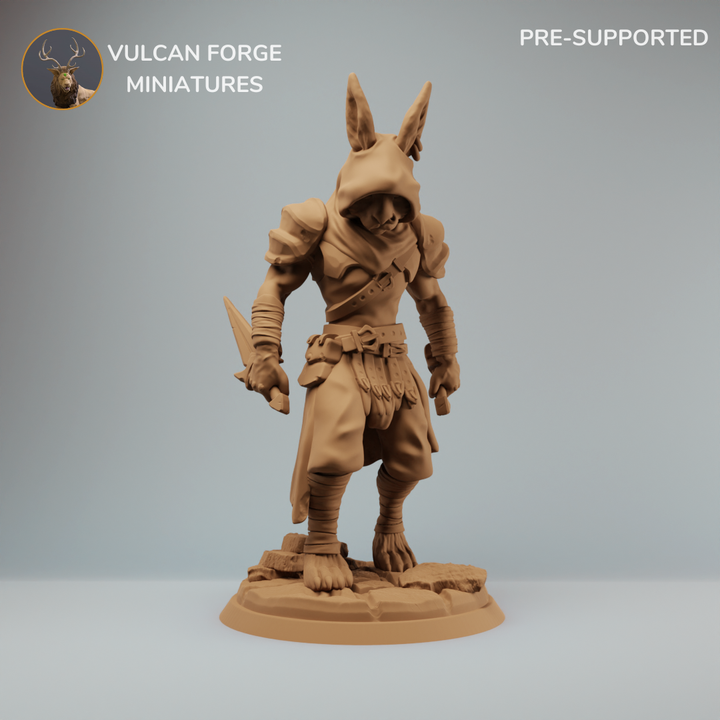 3D Printable Harengon Rogue, Harengon Rabbit Folk Rogue Assassin ...