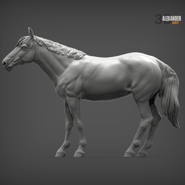 3D Printable Horse 3D print model by AKUZMENKO