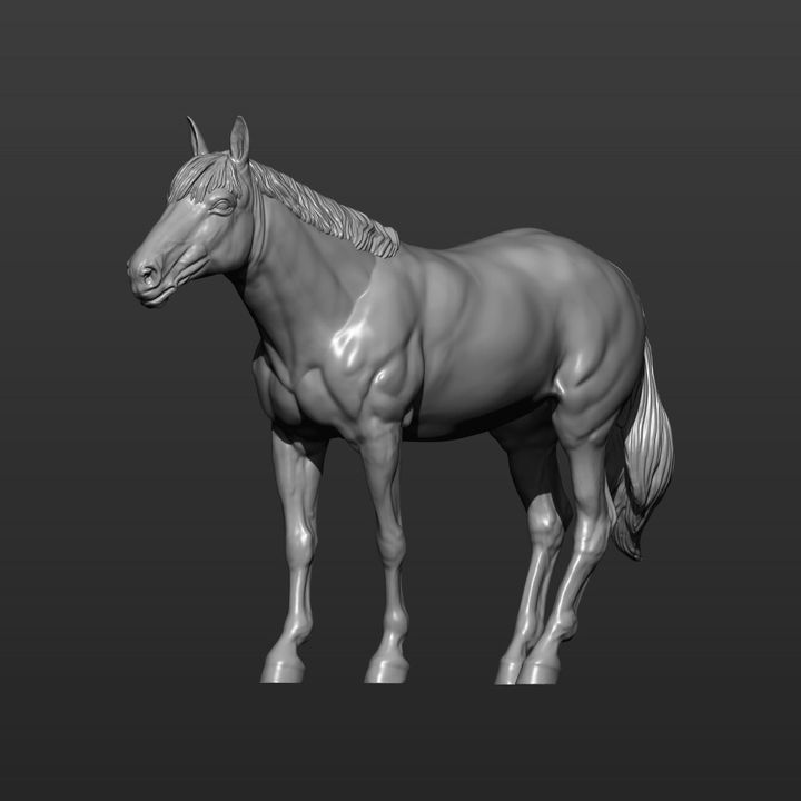 3D Printable Horse 3D print model by AKUZMENKO