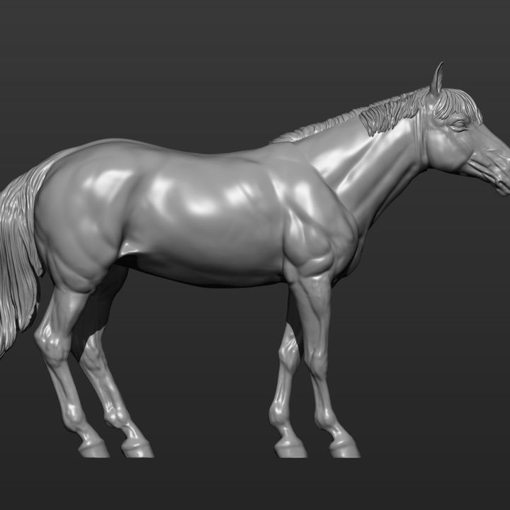 3D Printable Horse 3D print model by AKUZMENKO