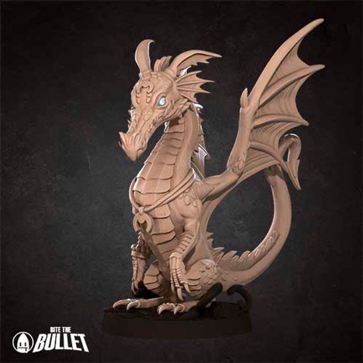 3D Printable Human Summoner (+Dragon) by Bite the Bullet