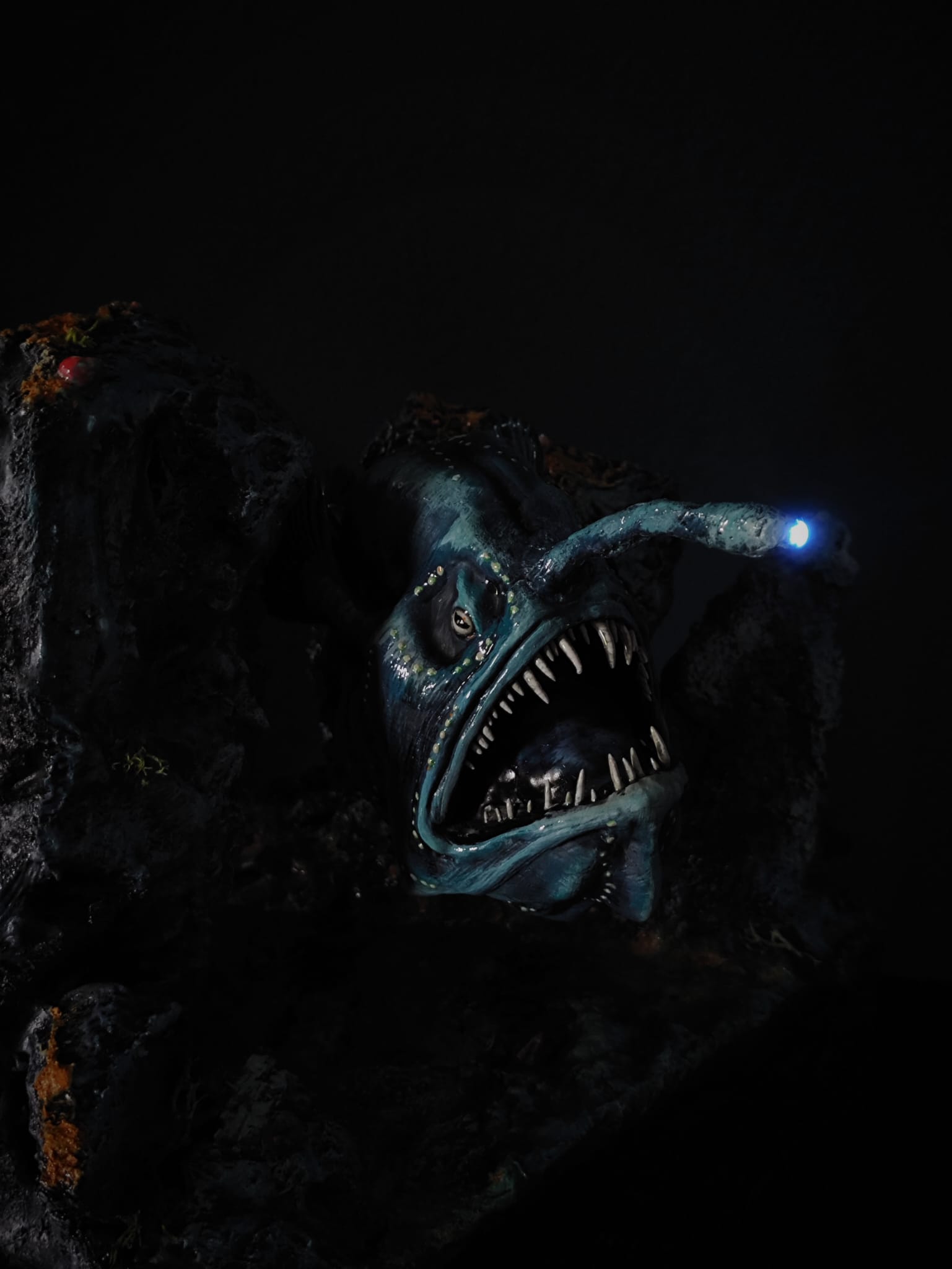 3D Printable Humpback Anglerfish by Animal Den Miniatures