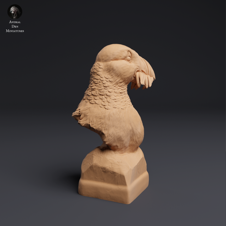 3D Printable Atlantic Puffin Bust by Animal Den Miniatures