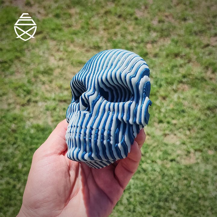 3D Printable Quantum Skull by PipeCox
