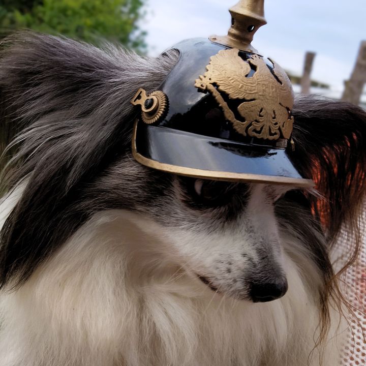 3D Printable German Dog Spiked Helmet - Pickelhaube. Scale To Size ...