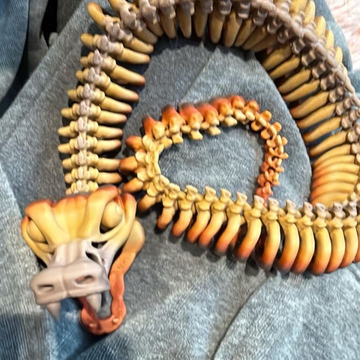 3D Print of Exclusive: Flexi Factory Skeleton Snake by momaloy