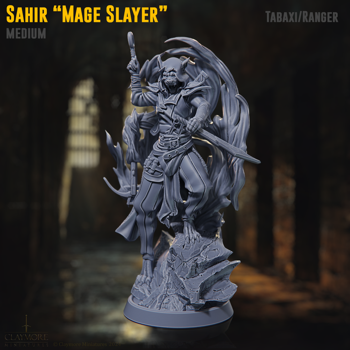 3D Printable Sahir "Mage Slayer" by Claymore Miniatures