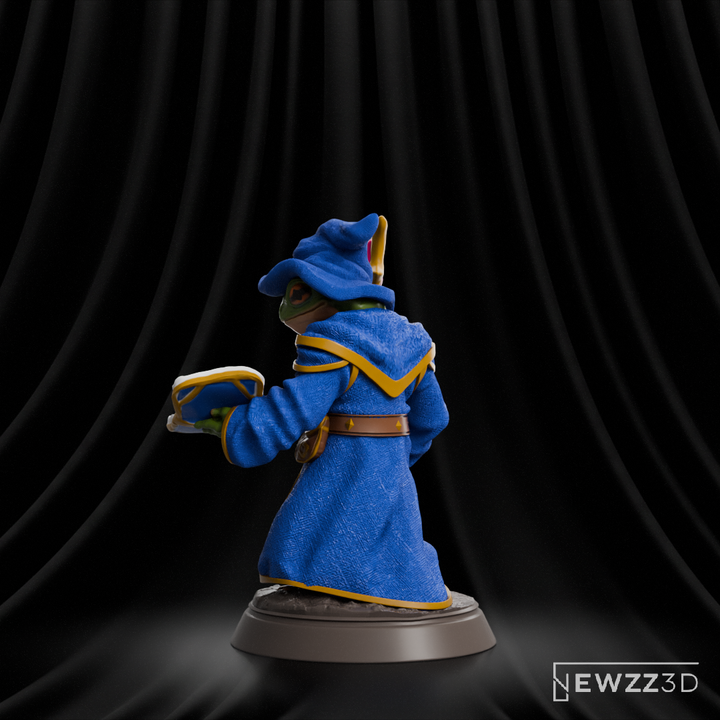 3D Printable Frog Wizard RPG by Newzz3D
