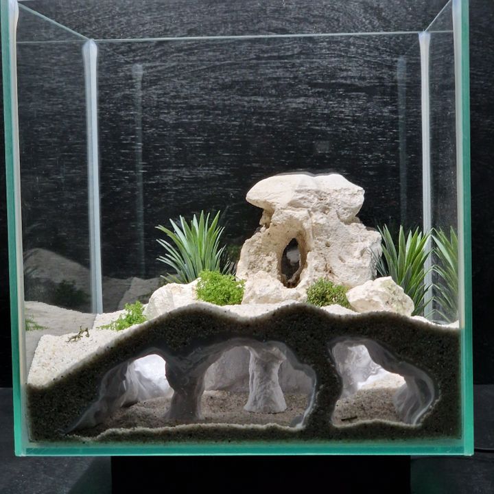 3D Printable Aquarium & Terrarium Decor Cave | Fish Tank Hide ...