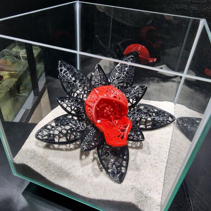 3D Printable Betta Fish Flower Cave | Unique Fish Tank Design Betta ...