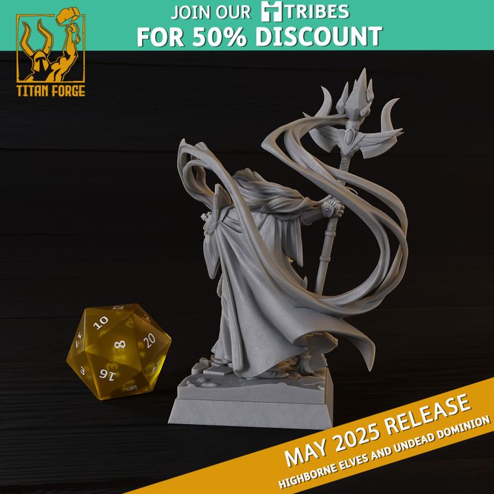 3D Printable Highborne Archmage - Highborne Elves and Undead Dominion ...