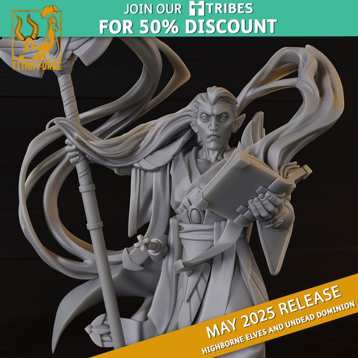 3D Printable Highborne Archmage - Highborne Elves and Undead Dominion ...