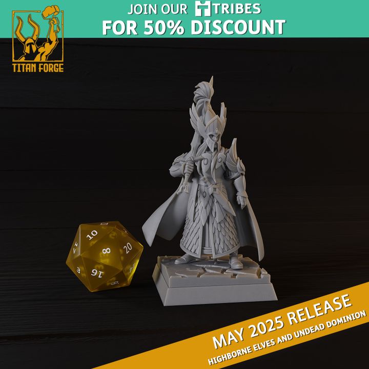 3D Printable Highborne Swordmasters - Highborne Elves and Undead ...