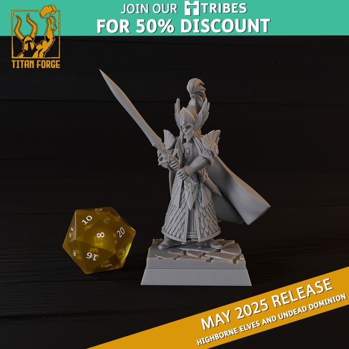 3D Printable Highborne Swordmasters - Highborne Elves and Undead ...
